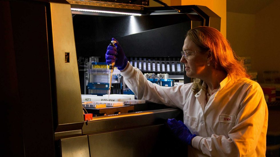 Spindox Labs: The Nature of Innovation